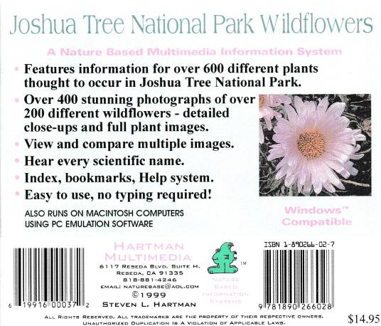 Joshua Trees National Park Wildflowers – NeverDieMedia