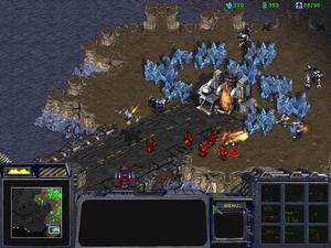 StarCraft Collector's Box w/ Manual – NeverDieMedia