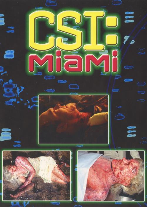 CSI: Miami: Slow Burn FYC – NeverDieMedia