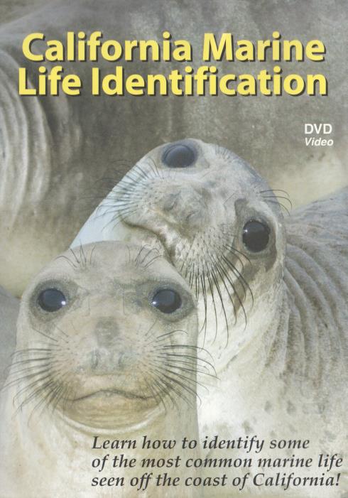 California Marine Life Identification – NeverDieMedia