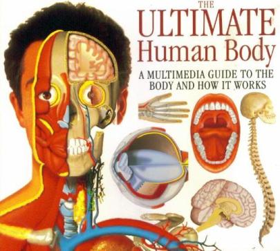 The Ultimate Human Body – NeverDieMedia