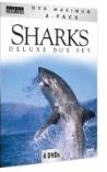 Sharks: Deluxe Box Set 4-Disc Set – NeverDieMedia