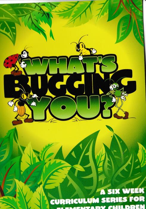 What's Bugging You? A Six Week Curriculum Series For Elementary Childr ...