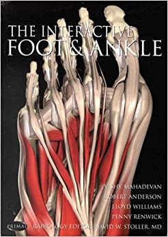 Interactive Foot & Ankle 2 – NeverDieMedia